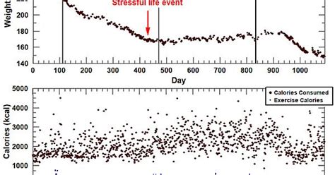 From Type Iii Obesity To Normal Bmi Imgur