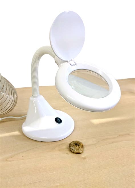 Led Compact Flexi Magnifying Lamp Uk Plug Zoic Palaeotech Limited Led Compact Flexi Magnifying Lamp Uk Plug Zoic Palaeotech Limited