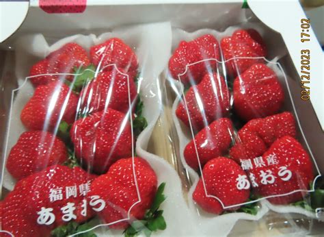 Taiwan News Dec