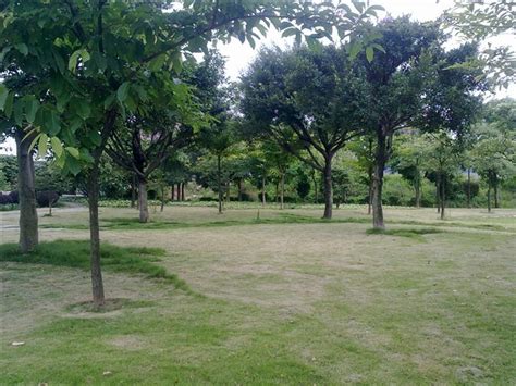 石马桃花公园图册 360百科