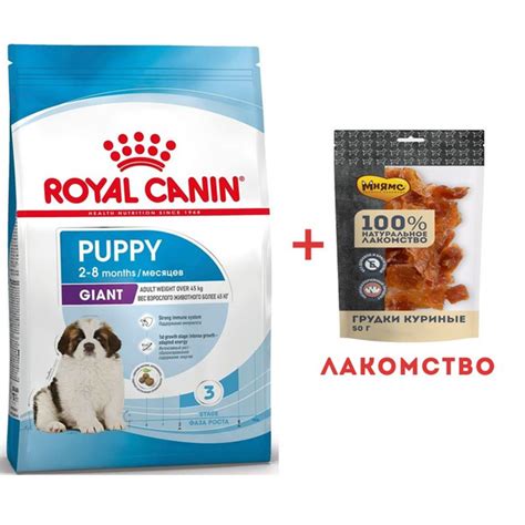 Royal Canin Giant Puppy Сухой корм для щенков (2-8 месяцев) собак ...
