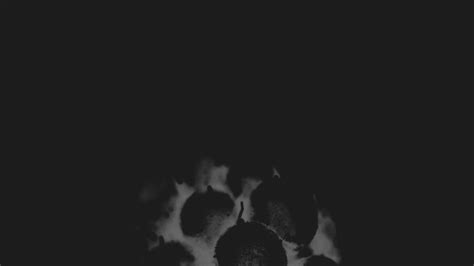 Fondos Gen Decode06 Sepai Gen Decode Skincare