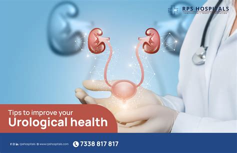 Tips To Improve Your Urological Health Rps Hospitals