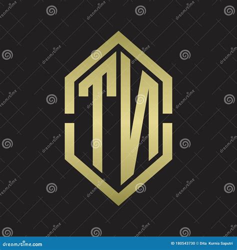 Monograma Del Logotipo De Tn Con Forma Hexagonal Y Estilo De Corte Del Contorno Con Colores