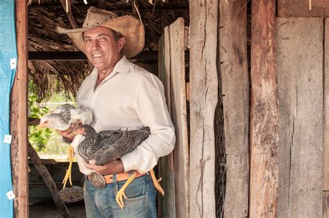 Agropecuária Goiana Vai Receber Mais De R 16 Milhões Do Fco Rural
