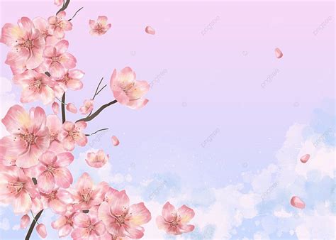 벚꽃 가지 꽃 꽃잎 떠 수채화 배경 벚꽃 꽃잎 벚꽃 꽃잎 배경 일러스트 및 사진 무료 다운로드 Pngtree