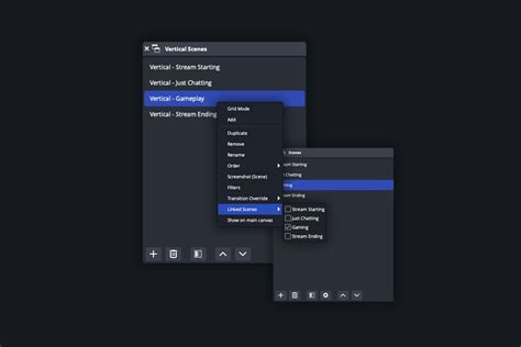 Best Aitum Vertical OBS Plugin
