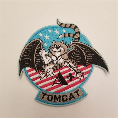 Squadron F 14 Patch Etsy