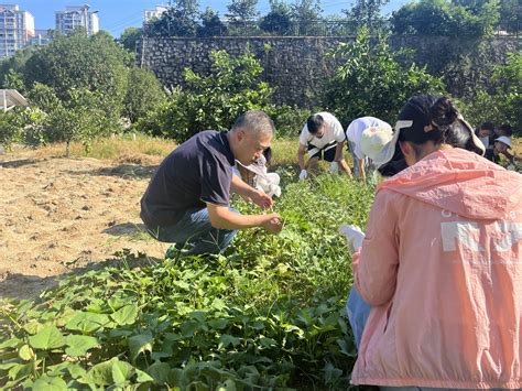 立秋未觉凉，实习实践基地劳动教育展风光 中国地质大学后勤保障部
