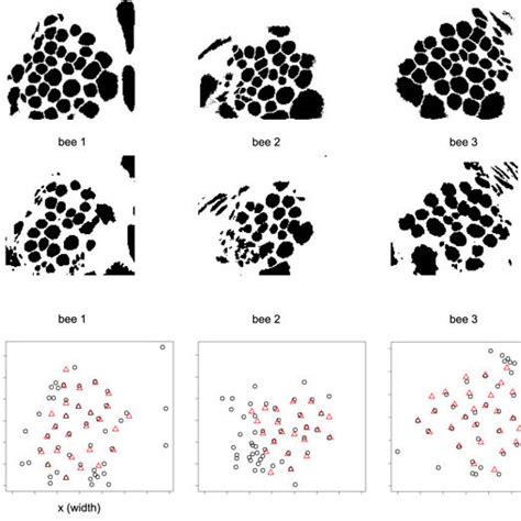 Illustration Of The Matrix Factorisation Framework Matrix