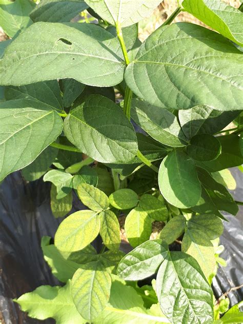 원주 농업을 사랑하는 사람들 Band