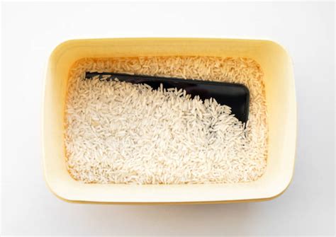 Uol Iphone Molhou Por Que A Apple Não Quer Que Você Coloque Pra Secar