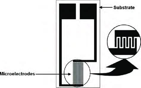 Schematic Illustration Of Interdigital Microelectrodes Download