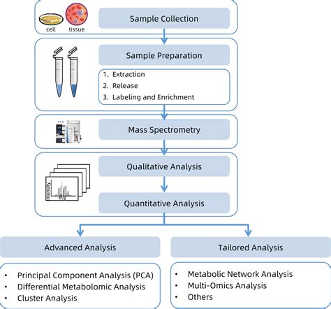 Ganglio Series Of Glycosphingolipid Analysis Service Mtoz Biolabs
