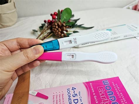 얼리 테스트기 시기 얼리 체크 동아 원포 임테기 사용시기 비교 네이버 블로그