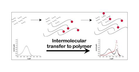 Intermolecular Transfer To Polymer In The Radical Polymerization Of N Butyl Acrylate