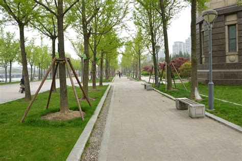 2025复旦大学江湾校区游玩攻略 惊艳的校园内花园绿地。校园 【去哪儿攻略】