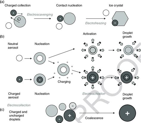 6 Schematic Diagram Of Various Cloud Microphysical Processes Which May