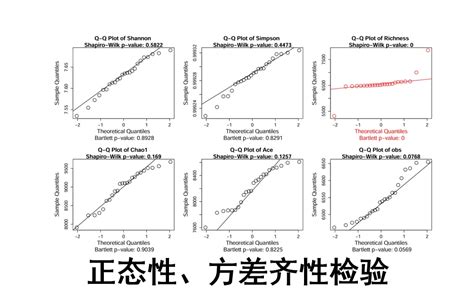 R语言 Ggplot自定义点的形状汇总 Leo朵