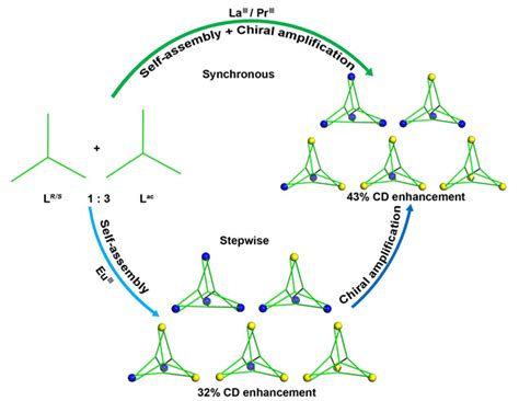 Ionic Radius Dependent Kinetic Behavior For The Self‐assemblyand Chiral Amplification Of