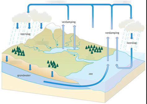 2 1 Waterkringloop Diagram Quizlet