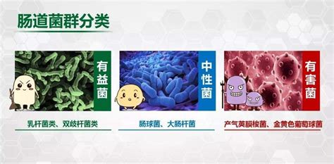 牛羊壮 牛羊反刍专用山东潍坊生益生物饲料有限公司饲料添加剂生产厂家供应商官方网站