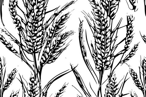 밀 식물 질감의 검은색과 ⁇ 색 ⁇ 터 프리미엄 벡터