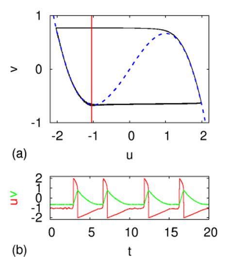 Panel A Phase Portrait With Nullcline Of The Single Fitzhugh Nagumo Download Scientific
