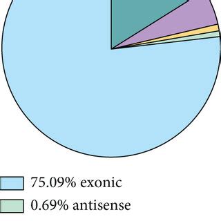 Overall Result Of RNA Sequencing A The Genomic Location Of CircRNAs Download Scientific