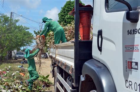 Emlur Recolhe Resíduos De Poda De árvores Em Sete Bairros Nesta Terça Feira