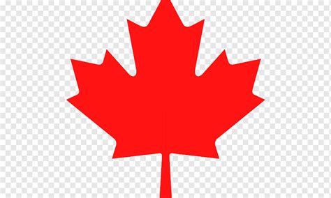 캐나다 메이플 리프 캐나다 단풍 잎 단풍잎 Png Pngwing