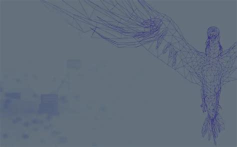 Falcon Foundation