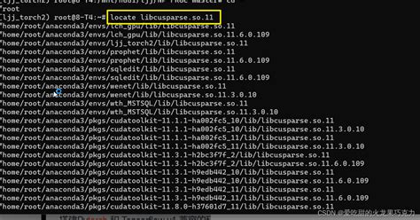 学校服务器安装cuda版本的pytorchdgl（联网上传）安装apex；cuda Out；使用wandb；error Lib；服务器