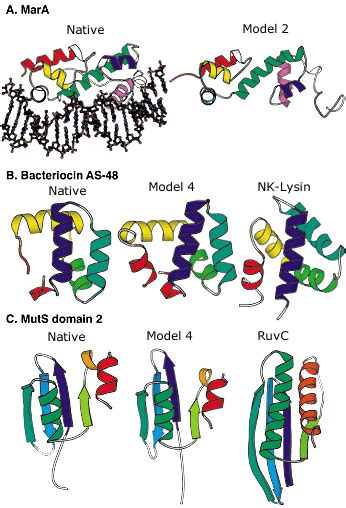 Blind Protein Structure Predictions From Casp3 And Casp4