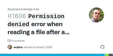 `permission Denied` Error When Reading A File After A Successful Mount As A Non Root User