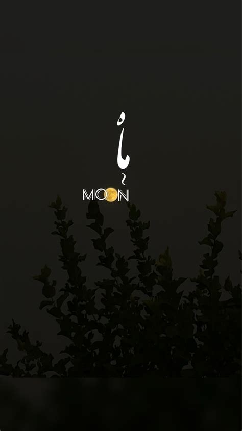 𝐌𝐨𝐨𝐧🌙 ‎ماه ۱۴۰۳ ۸ ۲۴ اکسپلور اکسبلور ماه Explore