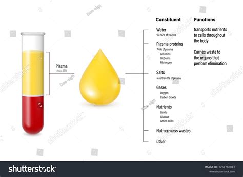 Blood Plasma Composition