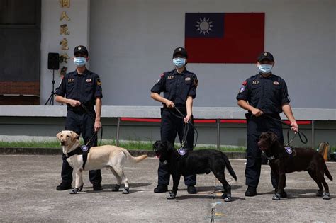【圖輯】官兵藏毒躲不過緝毒犬嗅覺 國軍去年至今查獲264公斤 上報 Line Today