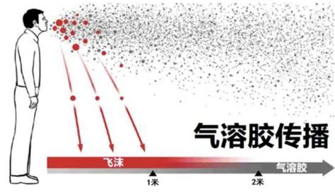新型冠状病毒气溶胶传播会加剧秋冬疫情吗 新冠 气溶胶 新冠肺炎 新浪科技 新浪网
