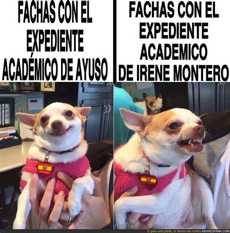 La Doble Vara De Medir