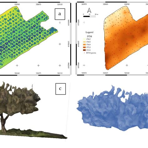 Data Processing Steps To Obtain Cv A Digital Surface Model Dsm