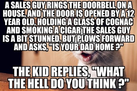 Cassius The Comedian Cat Joke 2495 Rcassiusthecomediancat