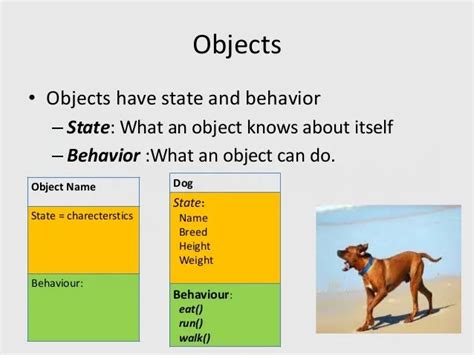 Java Object Oriented Programming Oop