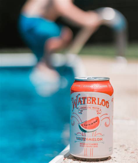 Waterloo Sparkling Water Summer Berry 12 Fl Oz 8 Pack Cans