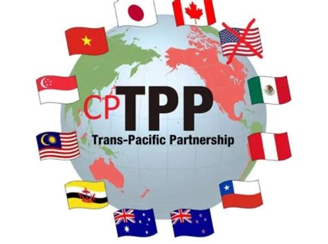 Cptpp可能在部分自贸试验区和海南自贸港先行先试 东莞合泰非标螺丝厂家