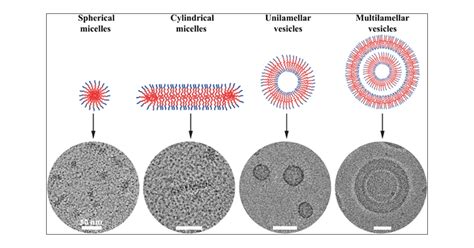 Self Aggregation In Aqueous Media Of Amphiphilic Diblock And Random