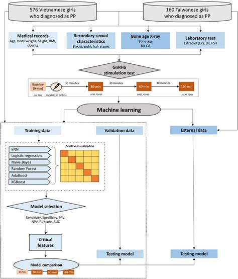 The Flowchart Of The Study Definition Of Abbreviations Adaboost