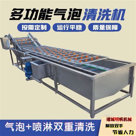果蔬气泡清洗机 多用途蔬菜清洗机 涡流洗菜机商用臭氧消毒洗菜机 tb9499985260的小店