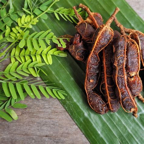 Tamarind Leaves What Does Tamarind Taste Like Moon And Spoon And