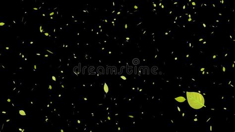 Color Leaves Falling Particles Motion Graphics Stock Footage Video Of